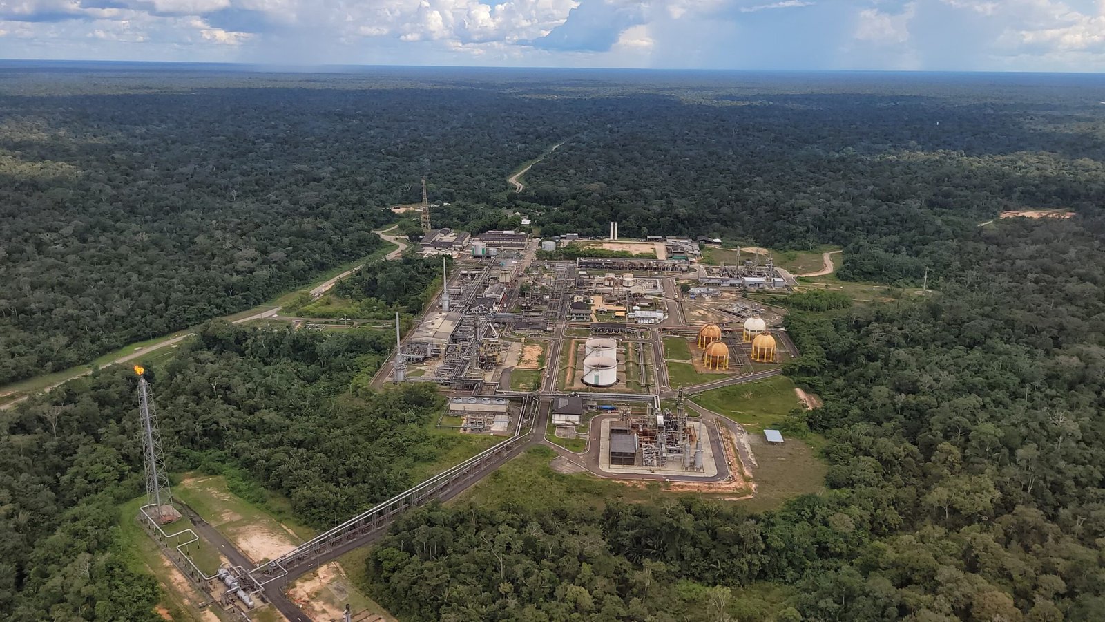 Petrobras já plantou mais de 1,4 milhão de mudas em Urucu, na Amazônia ...